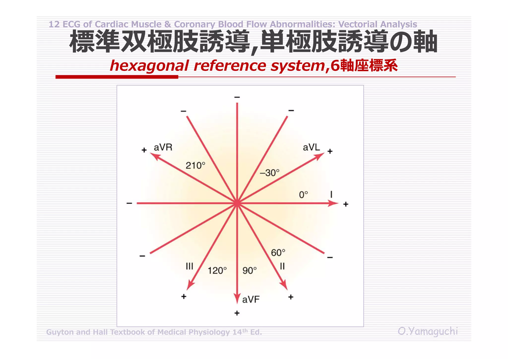 12 ecg of cardiac muscle & coronary blood flow abnormalities vectorial ...