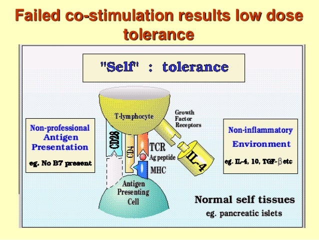 Immunological tolerance