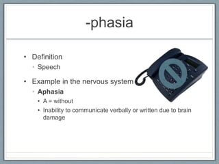 Chapter 12 Nervous System | PPT