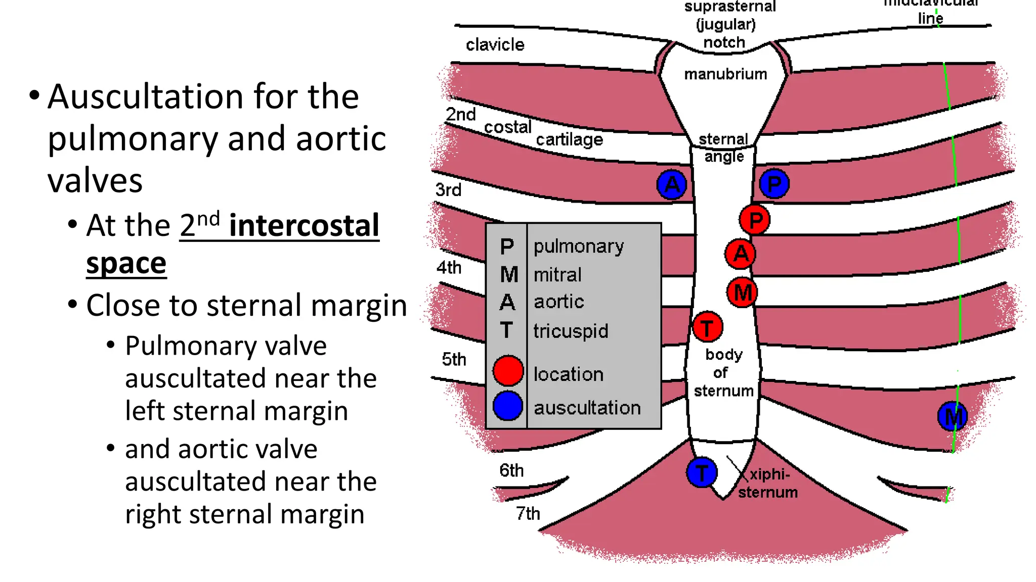 12_dEvents at Sternal Angle of Louis.pdf
