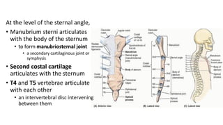 12_dEvents at Sternal Angle of Louis.pdf