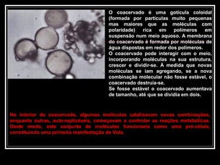 Evolução Biológica, biologia e geologia 11 ano | PDF