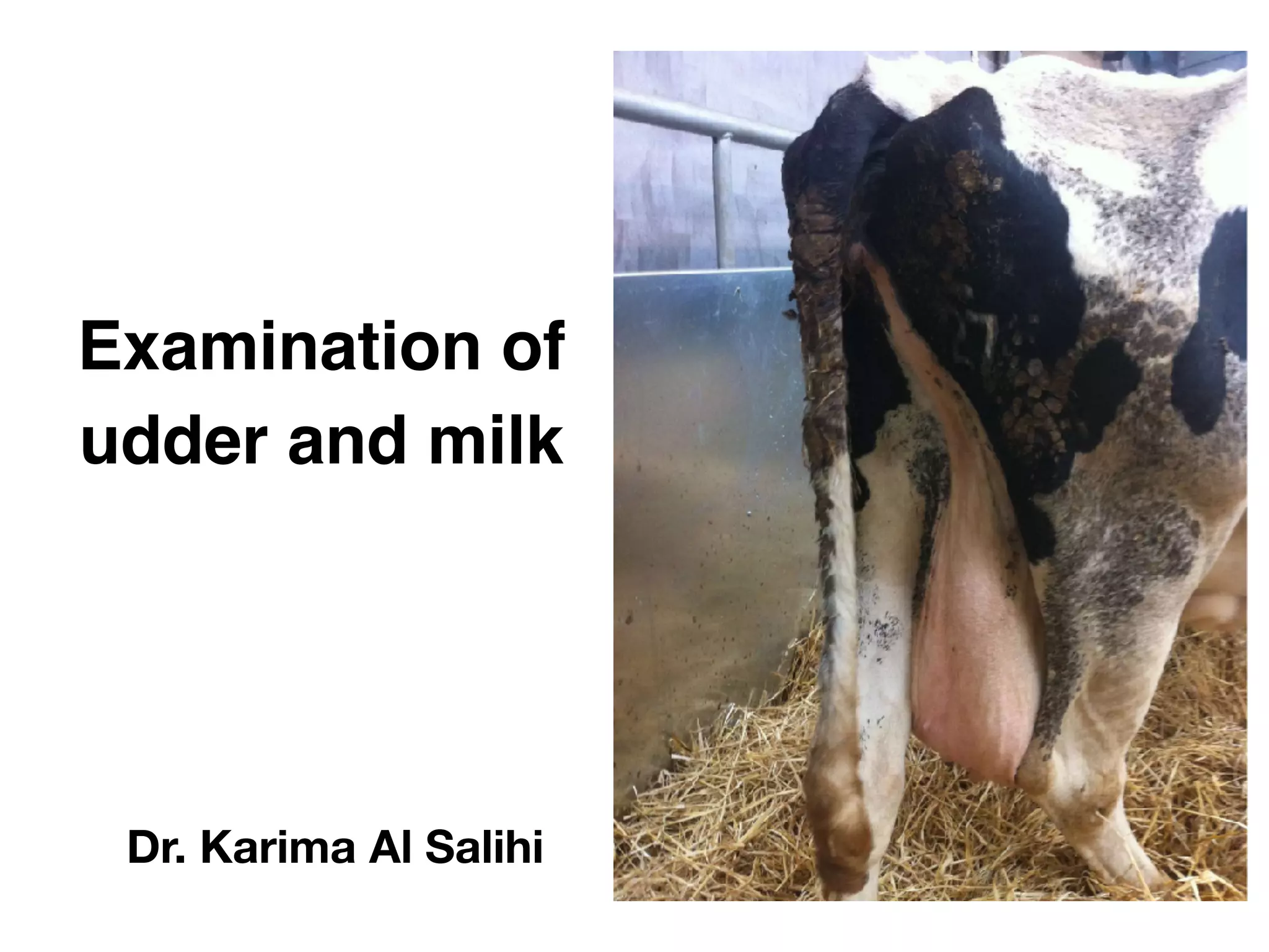 12 examination of the udder | PDF