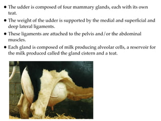 12 examination of the udder | PDF