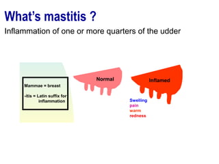 12 examination of the udder | PDF