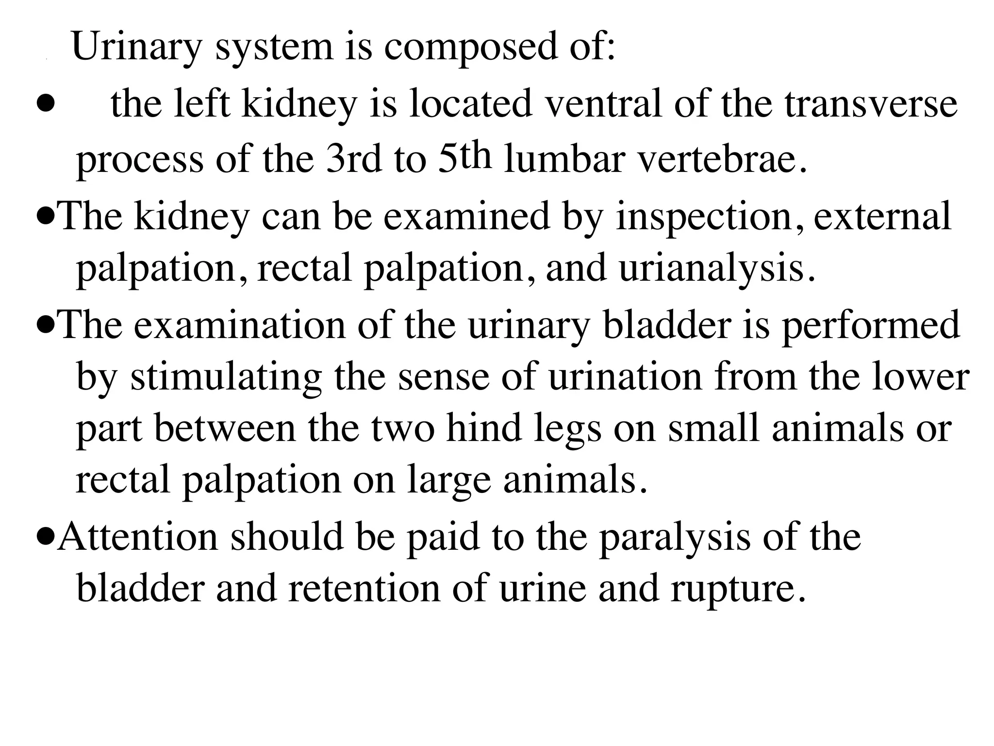 12 examination of the urogenital system | PDF
