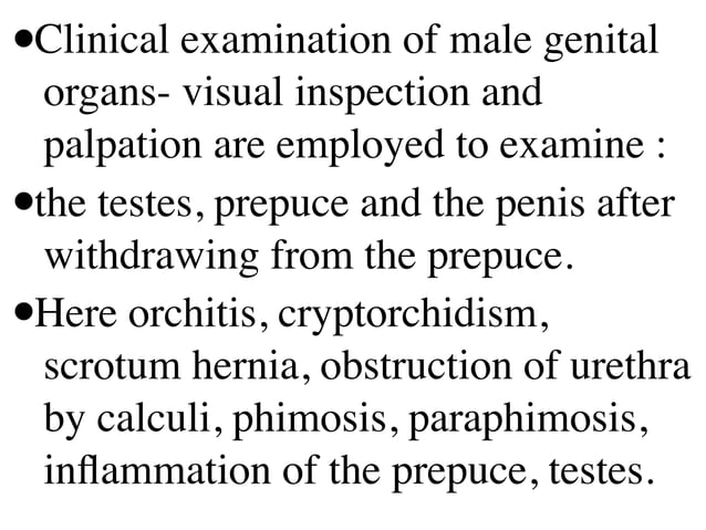12 examination of the urogenital system | PDF | Blood Disorders ...