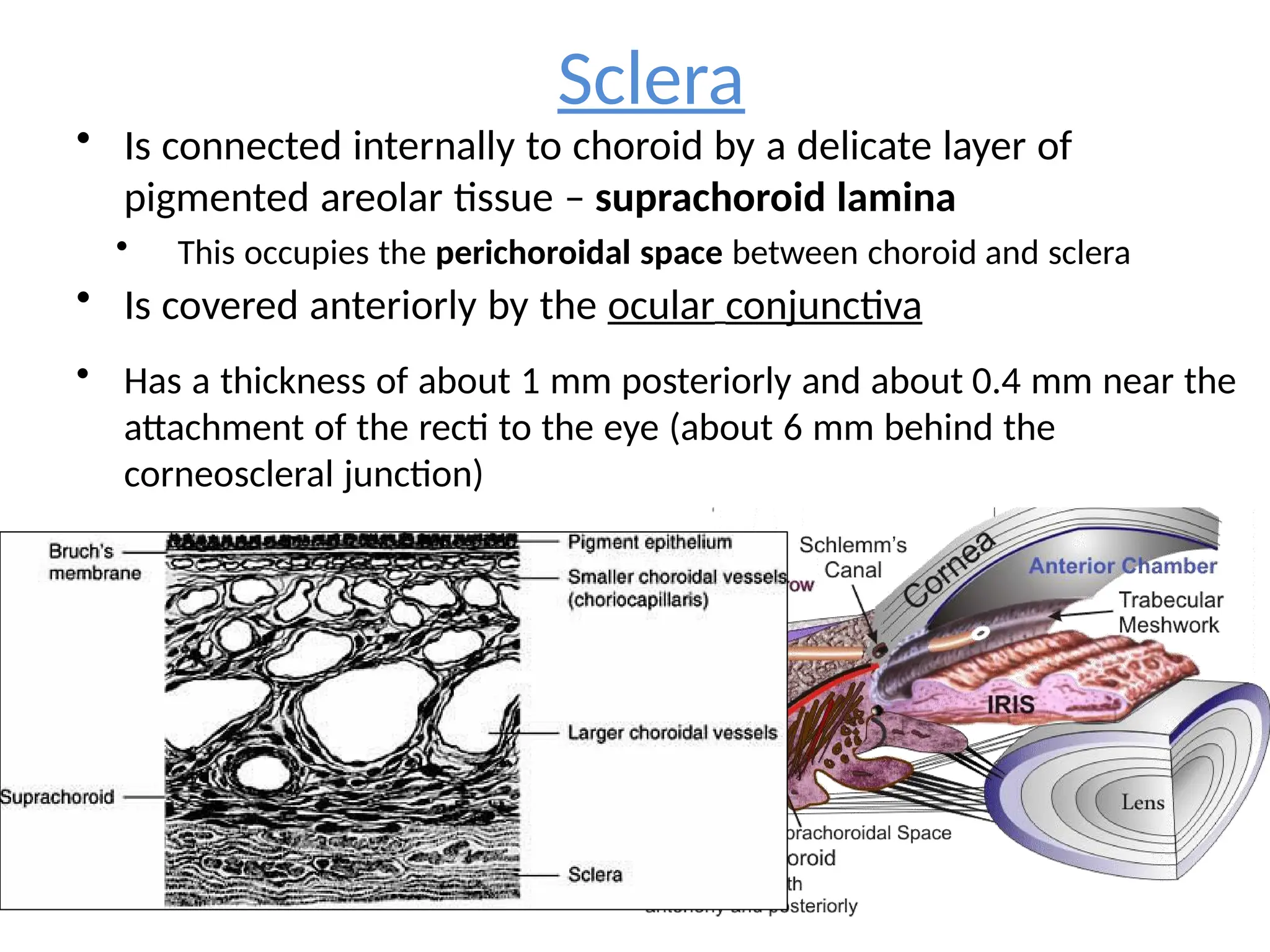 Diagrams and descriptions of the_EYE.pptx