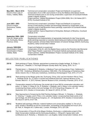 LS CV 2017-02 comprehensive | PDF