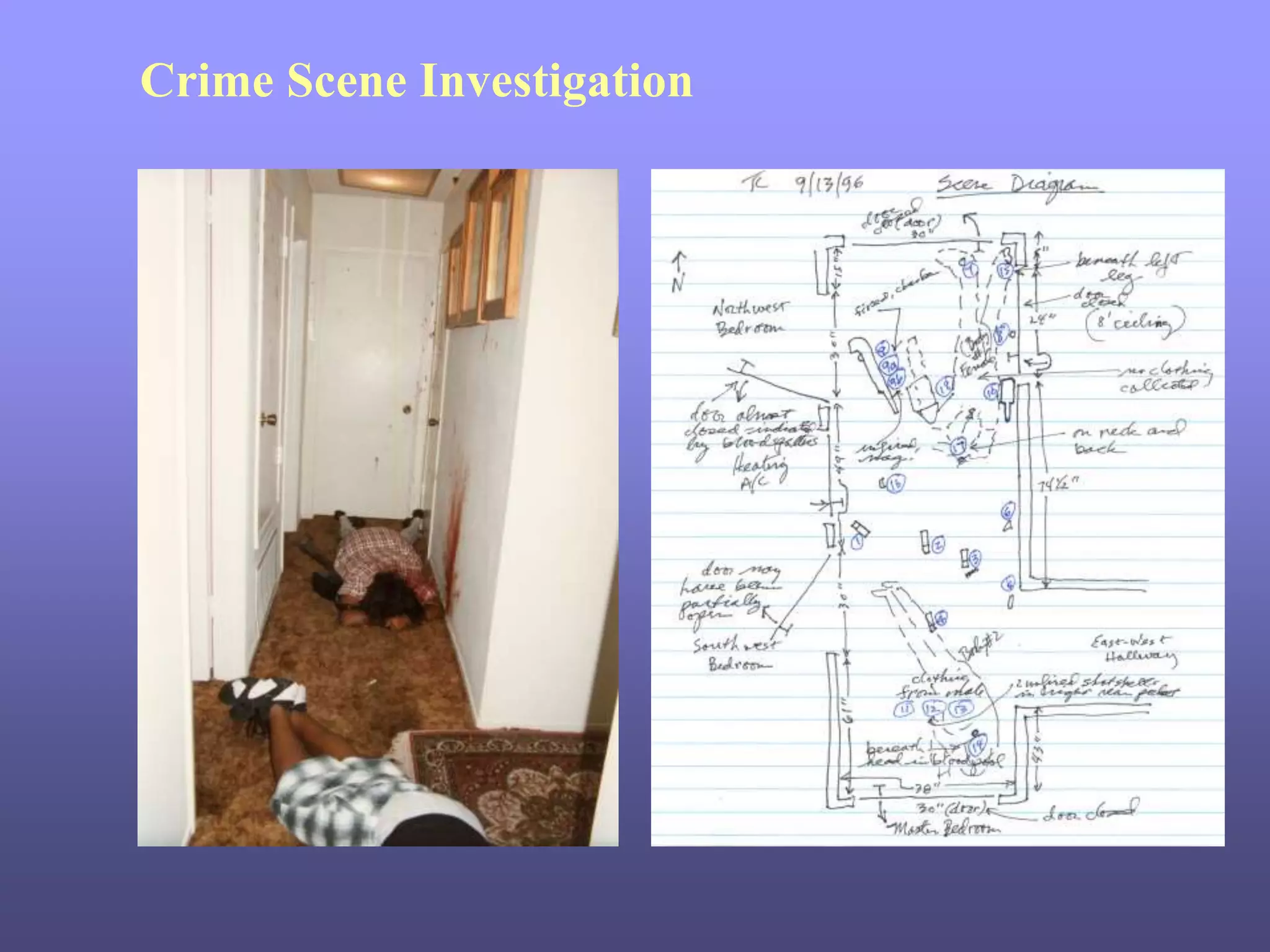 12 f forensics intro (student version) | PPT