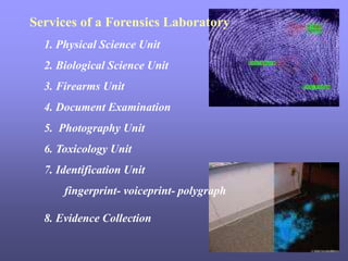 12 f forensics intro (student version) | PPT