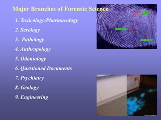 12 f forensics intro (student version) | PPT