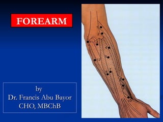 12 Forearm by Dr Smart.ppt377777337738228u | PPT