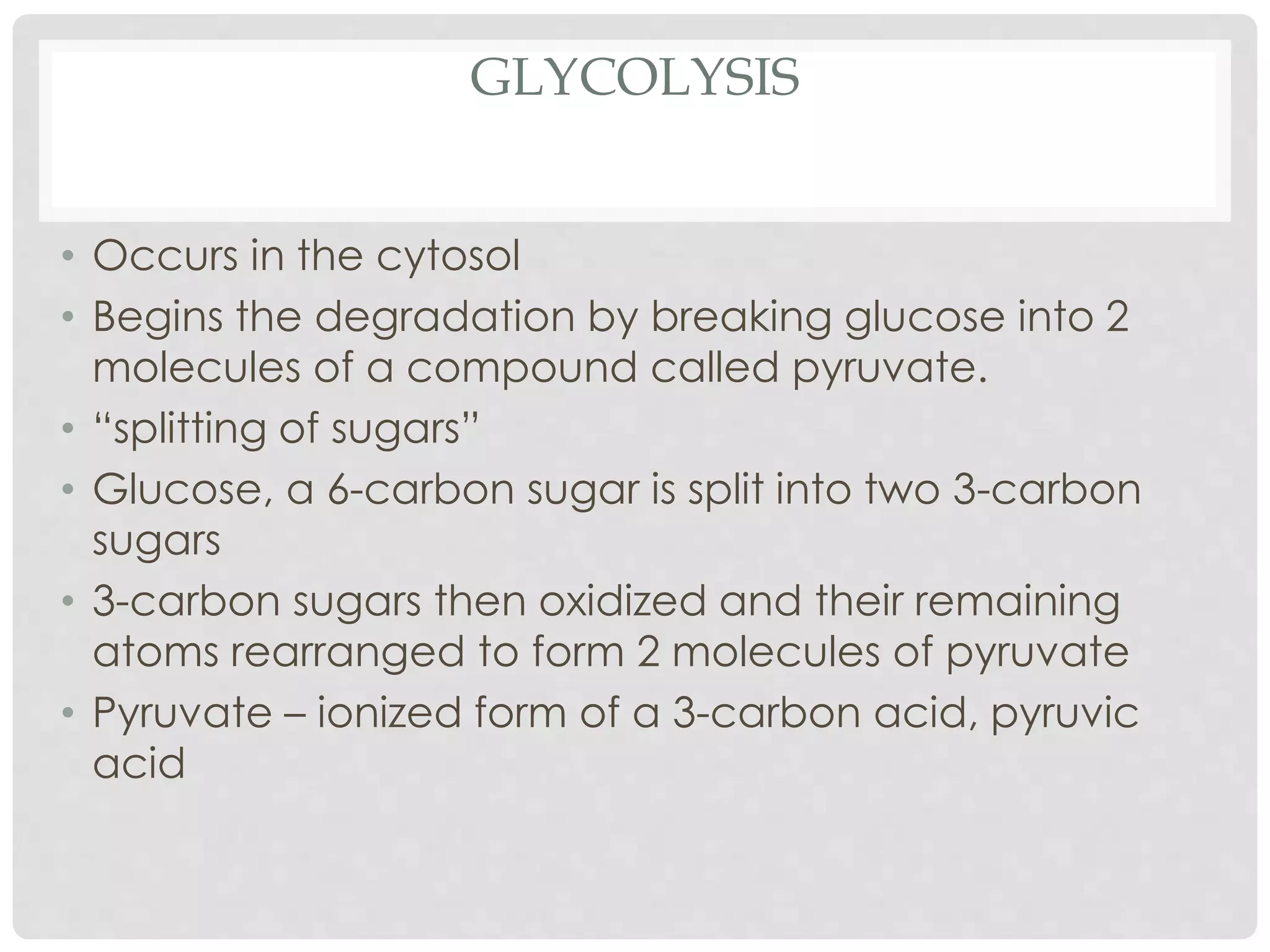 12 glycolysis | PPTX