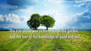 Abhor Evil; Hold Fast to Good | PDF