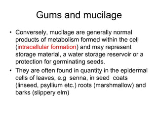 12 Gums and Mucilage.ppt