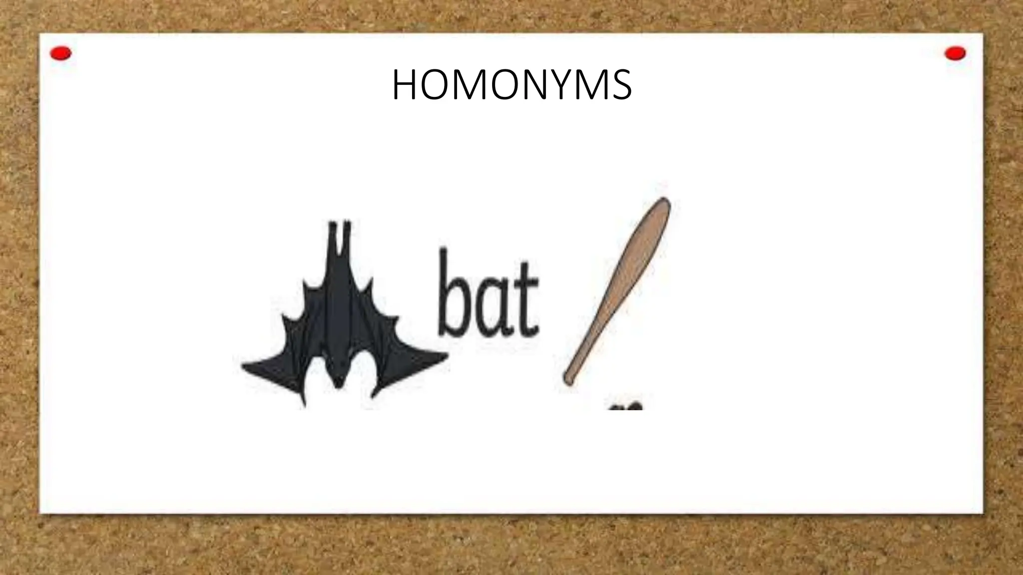 HOMONYMS PICTURES EXAMPLE WITH NAME.pptx