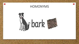HOMONYMS PICTURES EXAMPLE WITH NAME.pptx