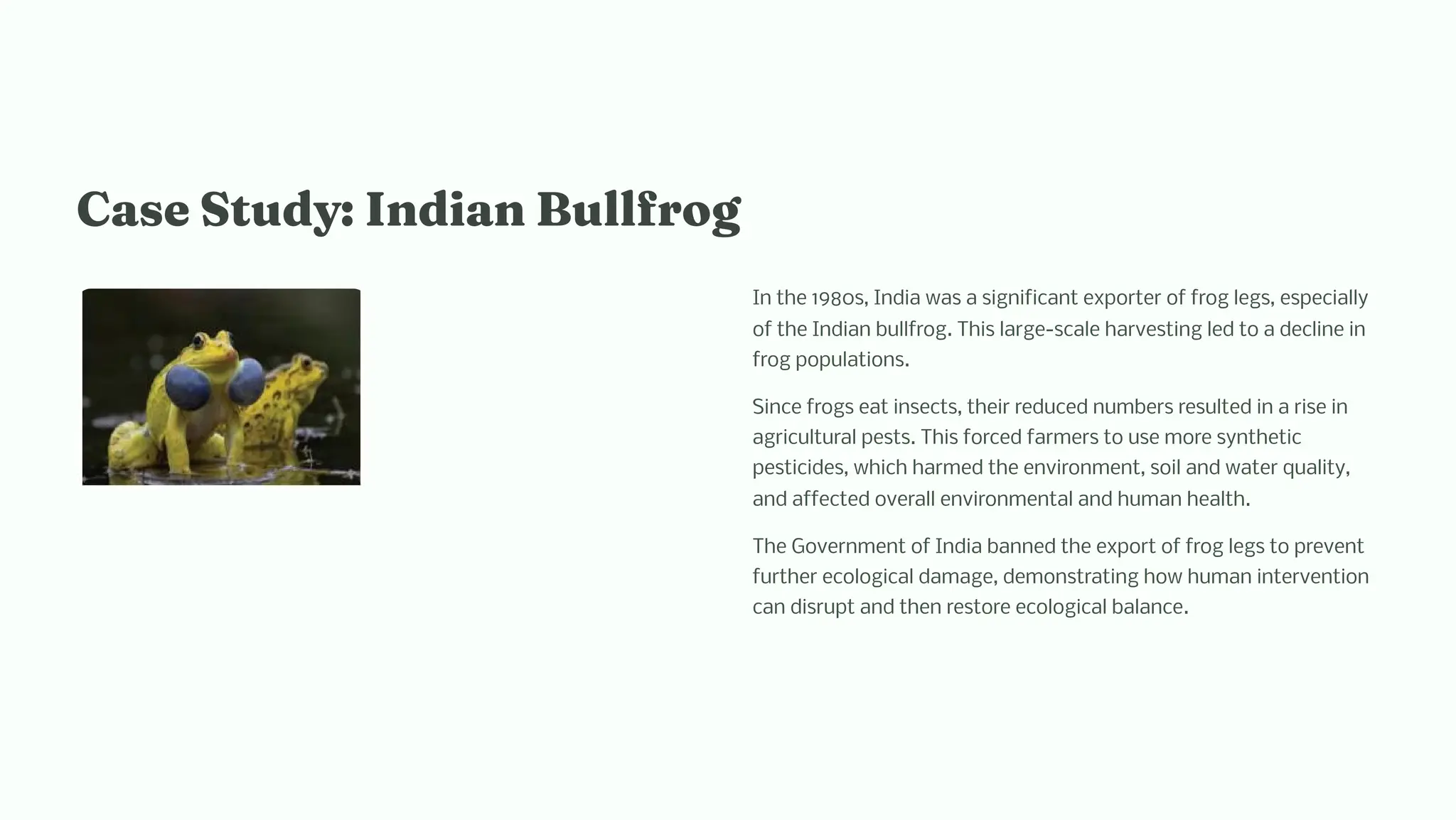 12.How-Nature-Works-in-Harmony.ppt/8th class science curiosity/by k ...
