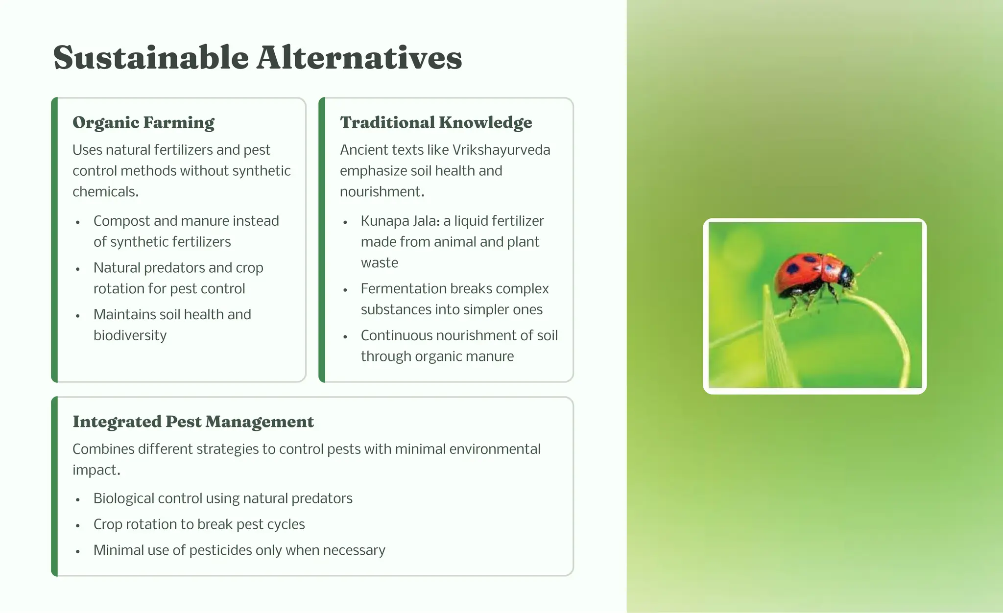 12.How-Nature-Works-in-Harmony.ppt/8th class science curiosity/by k ...