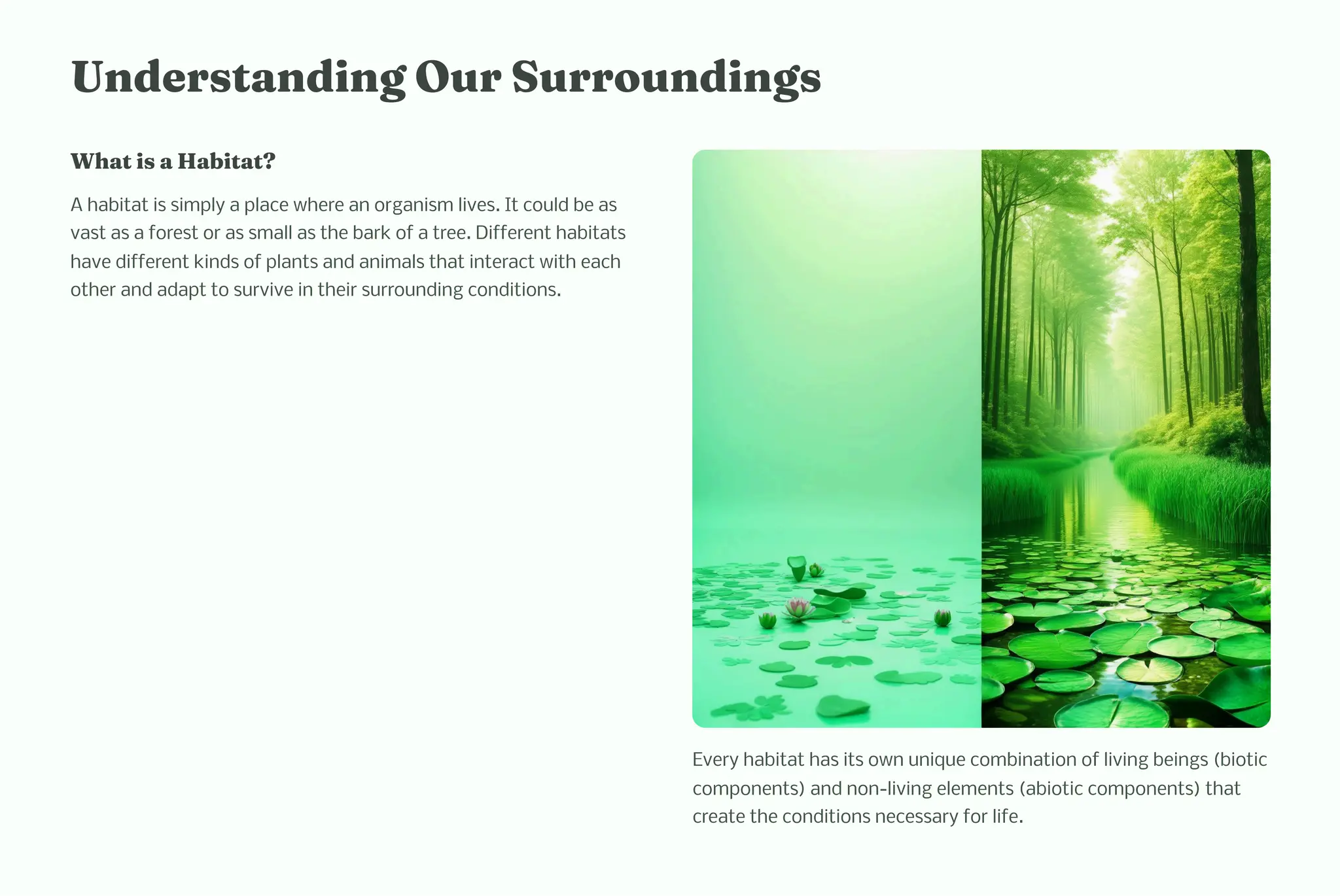 12.How-Nature-Works-in-Harmony.ppt/8th class science curiosity/by k ...