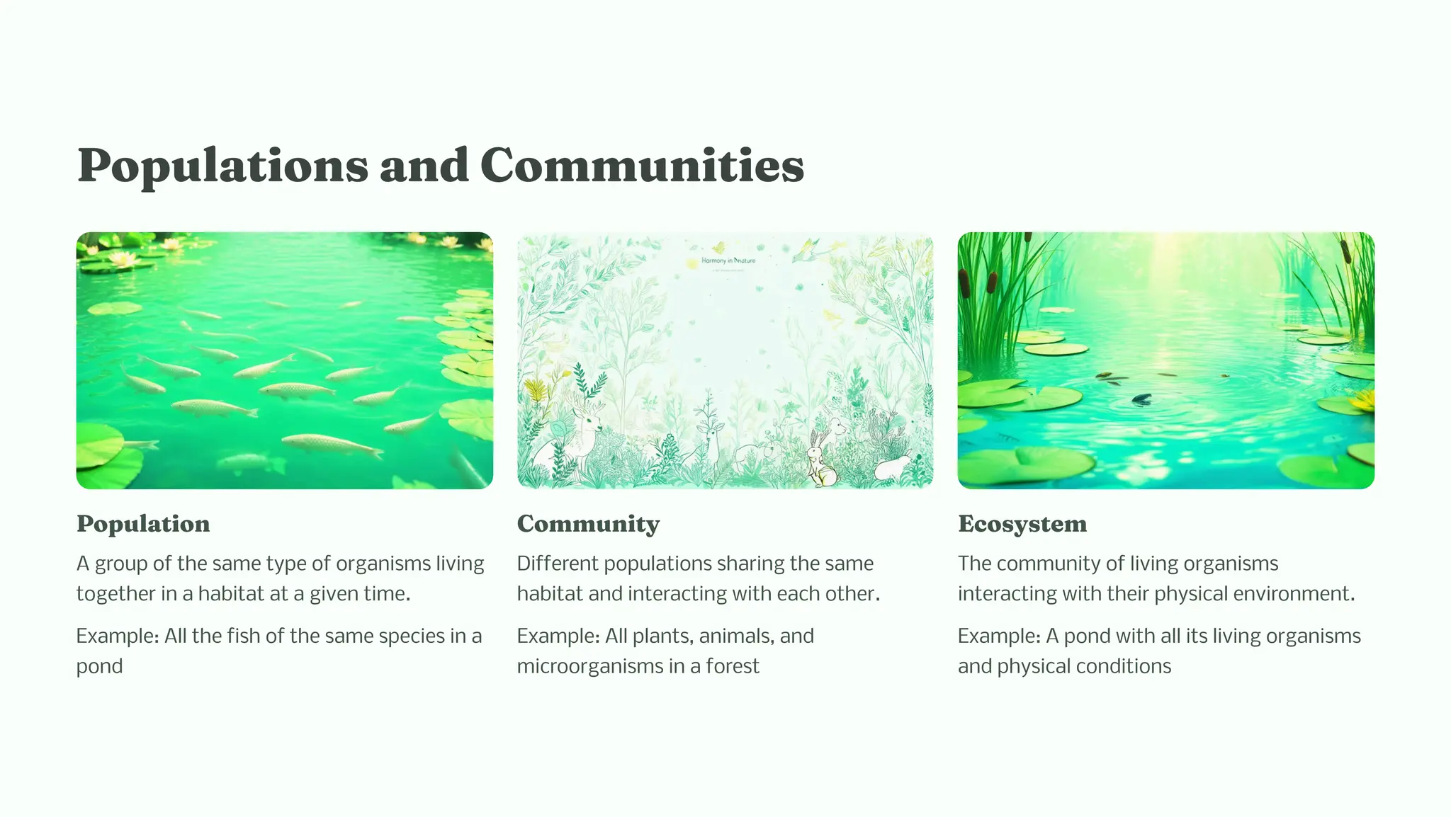 12.How-Nature-Works-in-Harmony.ppt/8th class science curiosity/by k ...