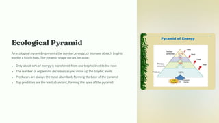 12.How-Nature-Works-in-Harmony.ppt/8th class science curiosity/by k ...