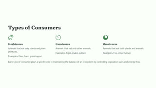 12.How-Nature-Works-in-Harmony.ppt/8th class science curiosity/by k ...