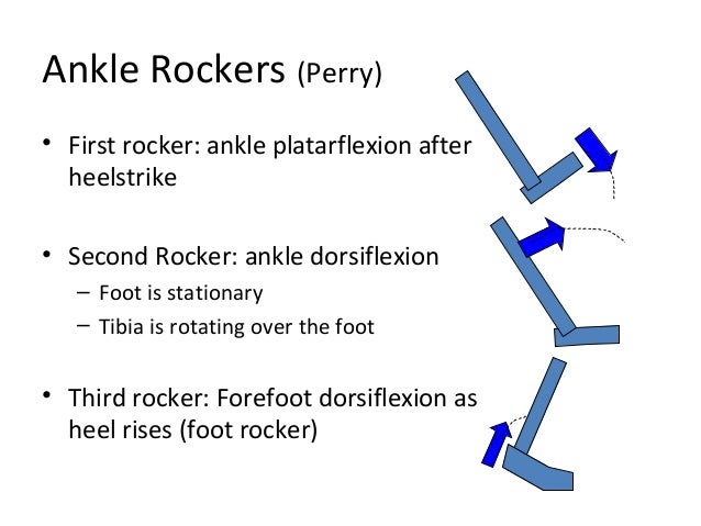 12 human walking (1)