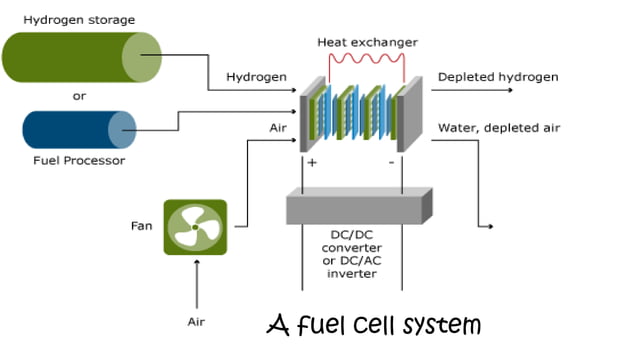 Hydrogen Fuel Cell | PPT