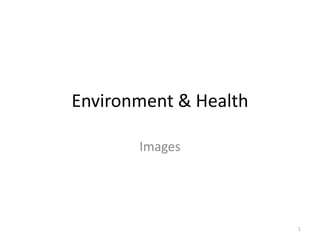 12 I Environment & Health.pptx