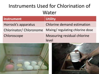 12 I Environment & Health.pptx