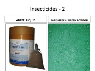 12 I Environment & Health.pptx | Free Download