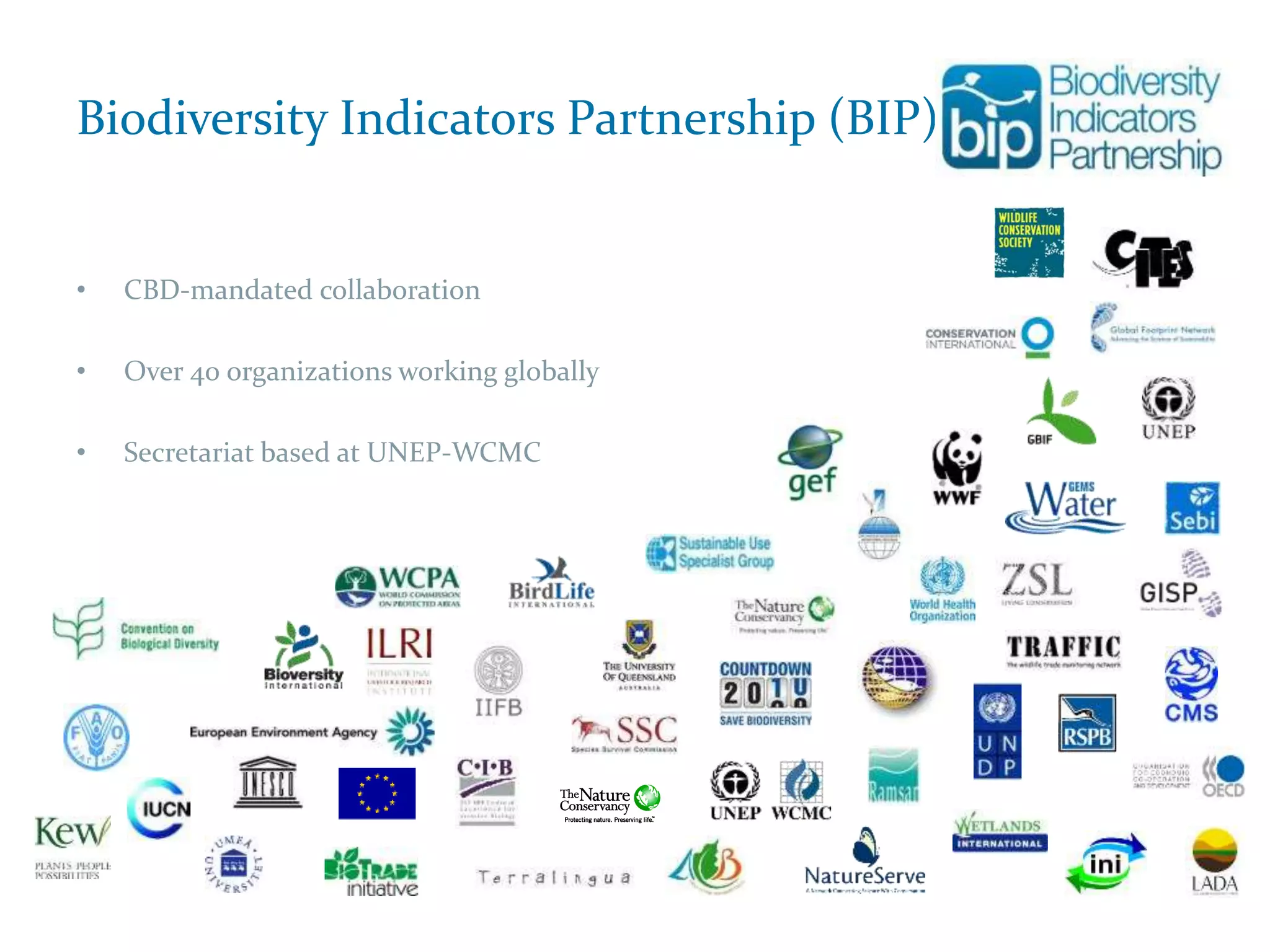 Biodiversity indicators: a quick guide to indicator development | PPTX