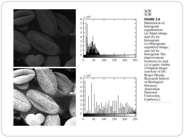 Intensity Transformation And Spatial Filtering Pptx Photo Editing
