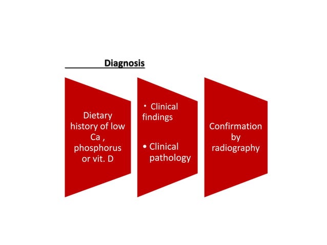 12 introduction to nutritional deficincies | PPT