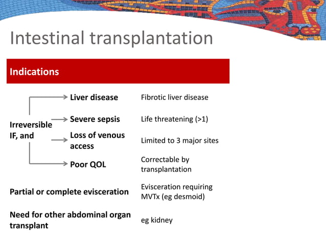 Intestinal Transplantation: UK perspective & NASIT | PPTX | Surgery ...