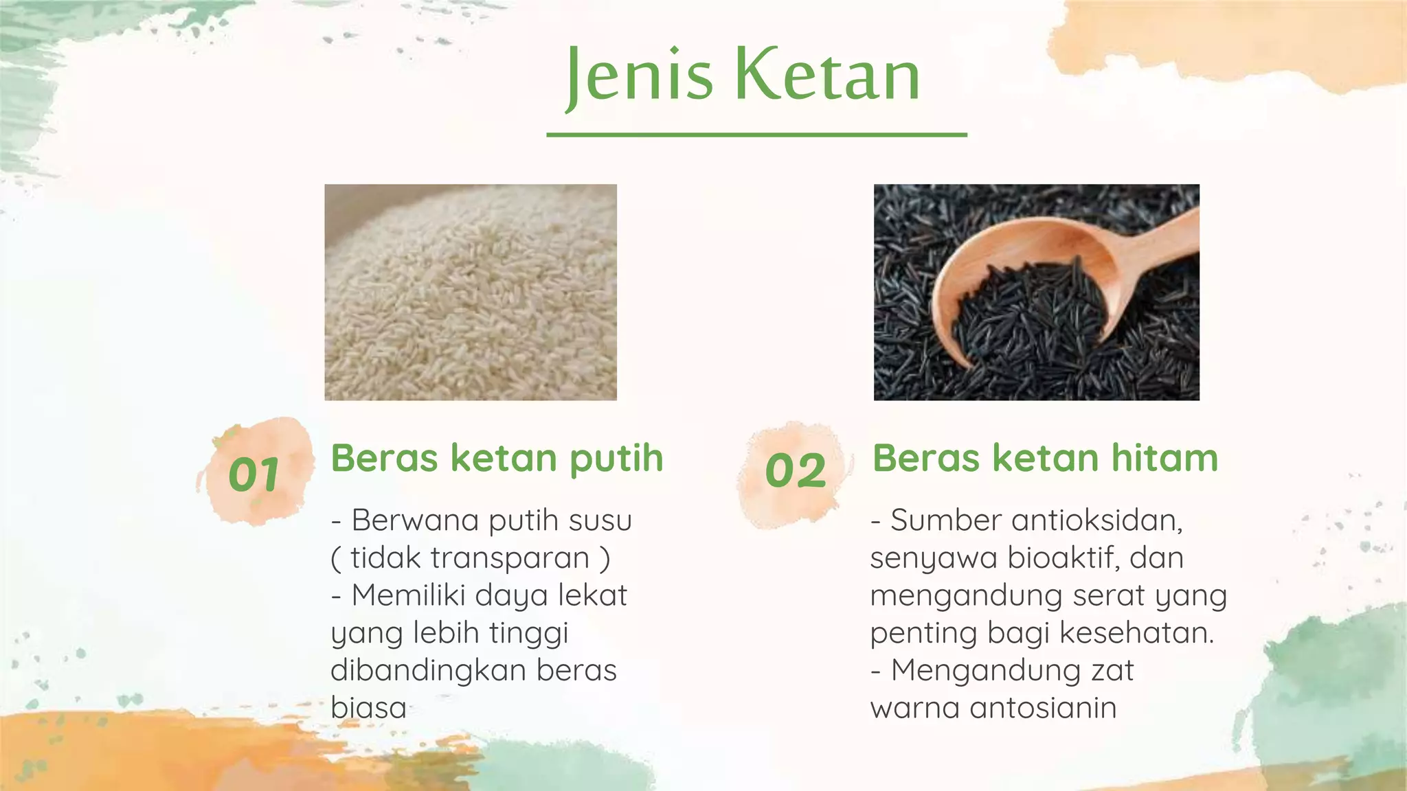 Ketan - Ilmu Bahan Makanan | PPT
