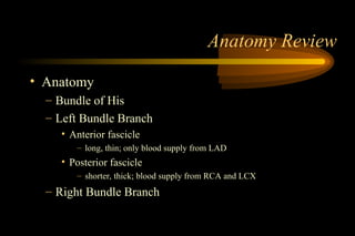 12LeadBlocks.ppt 12 Lead ECGs: Bundle Branch Blocks & Hemiblocks | PPT