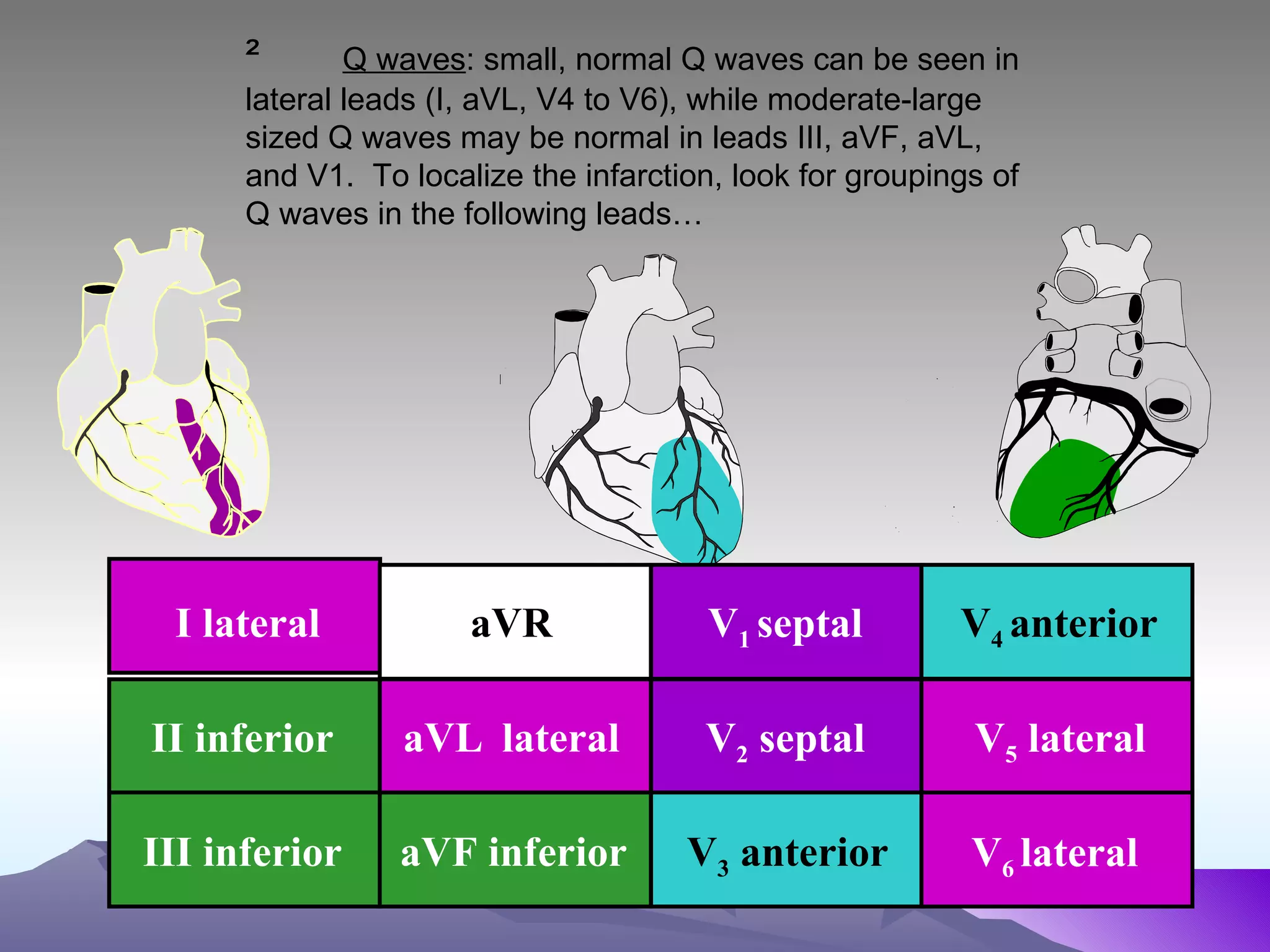 12 lead ecg | PPT