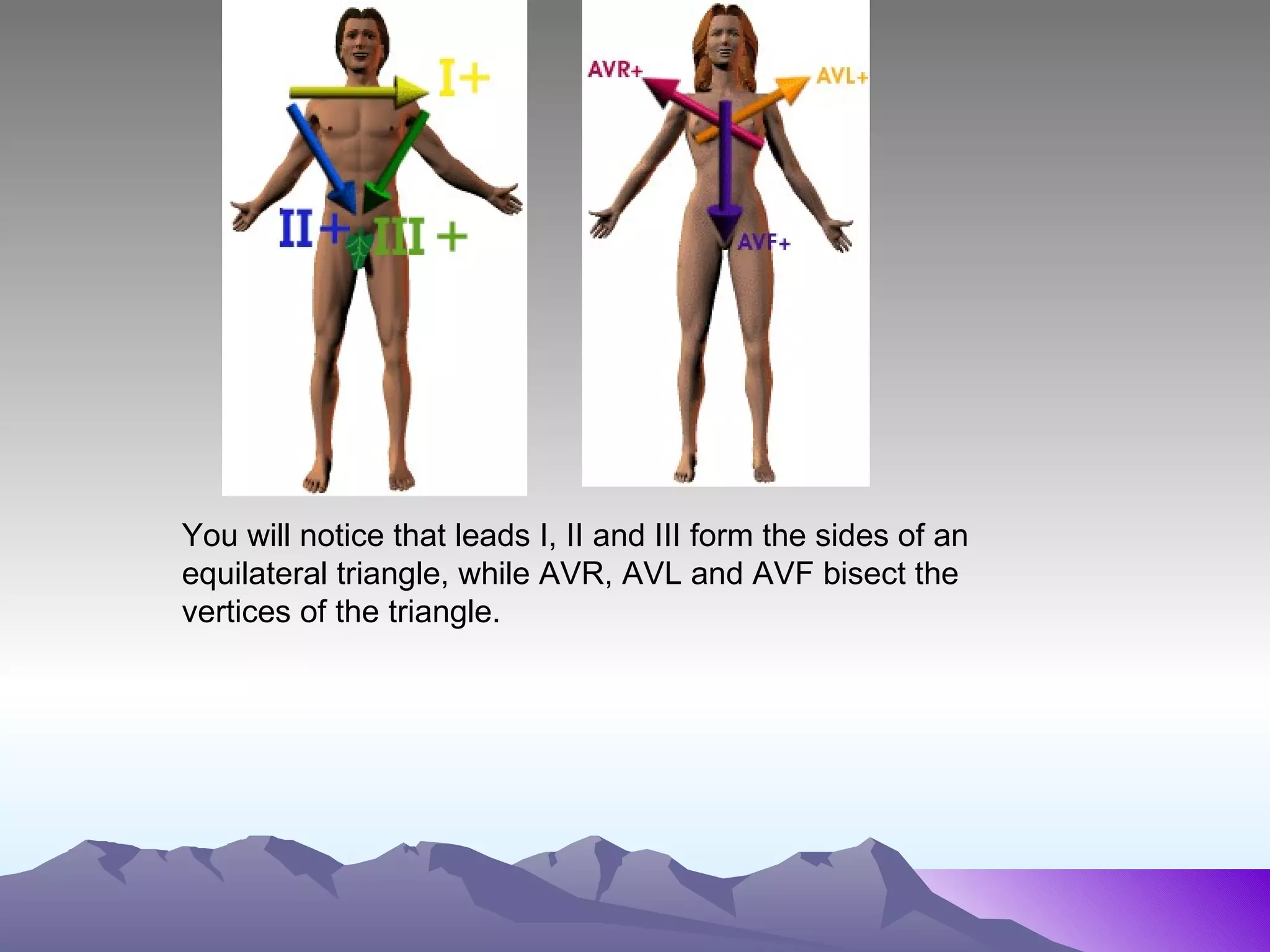 12 lead ecg | PPT