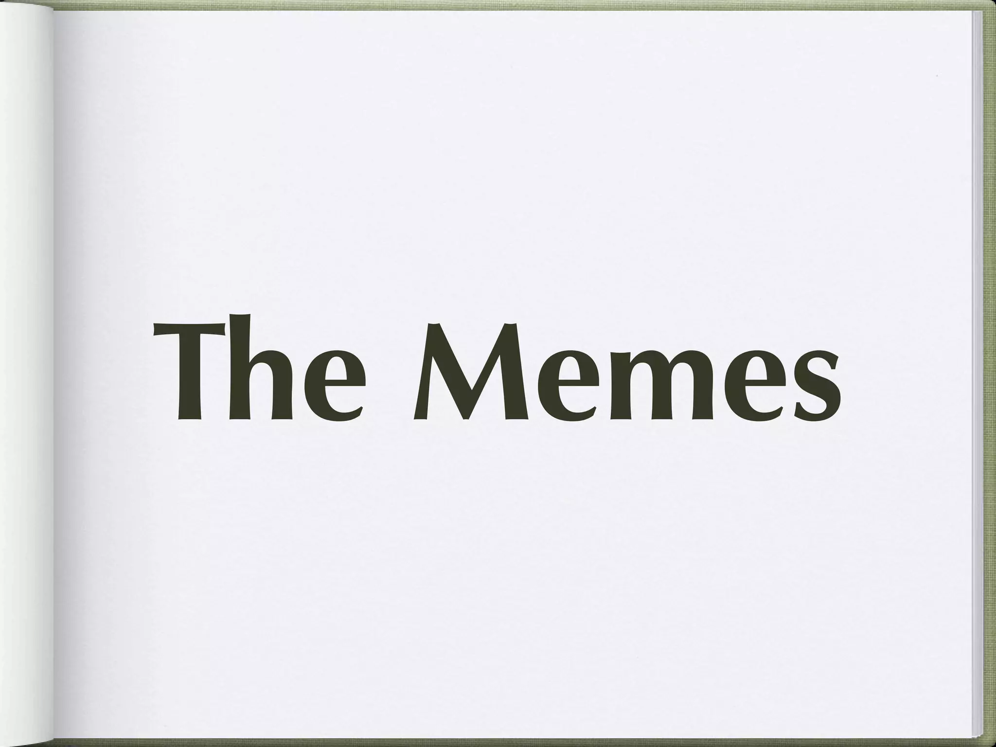 12 Lean Memes | PDF