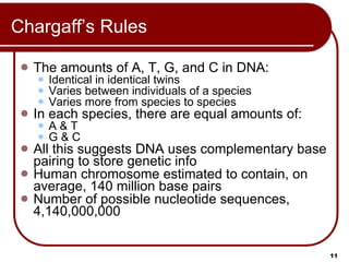 12 Lecture Animation Ppt | PPT