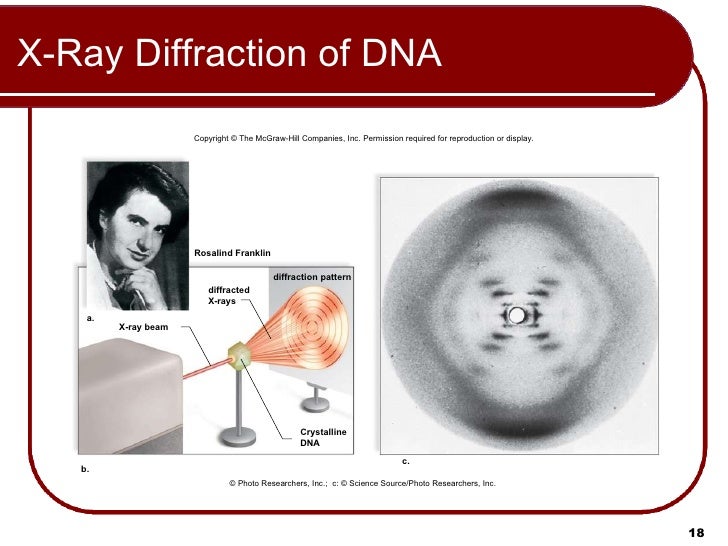 12 Lecture Animation Ppt