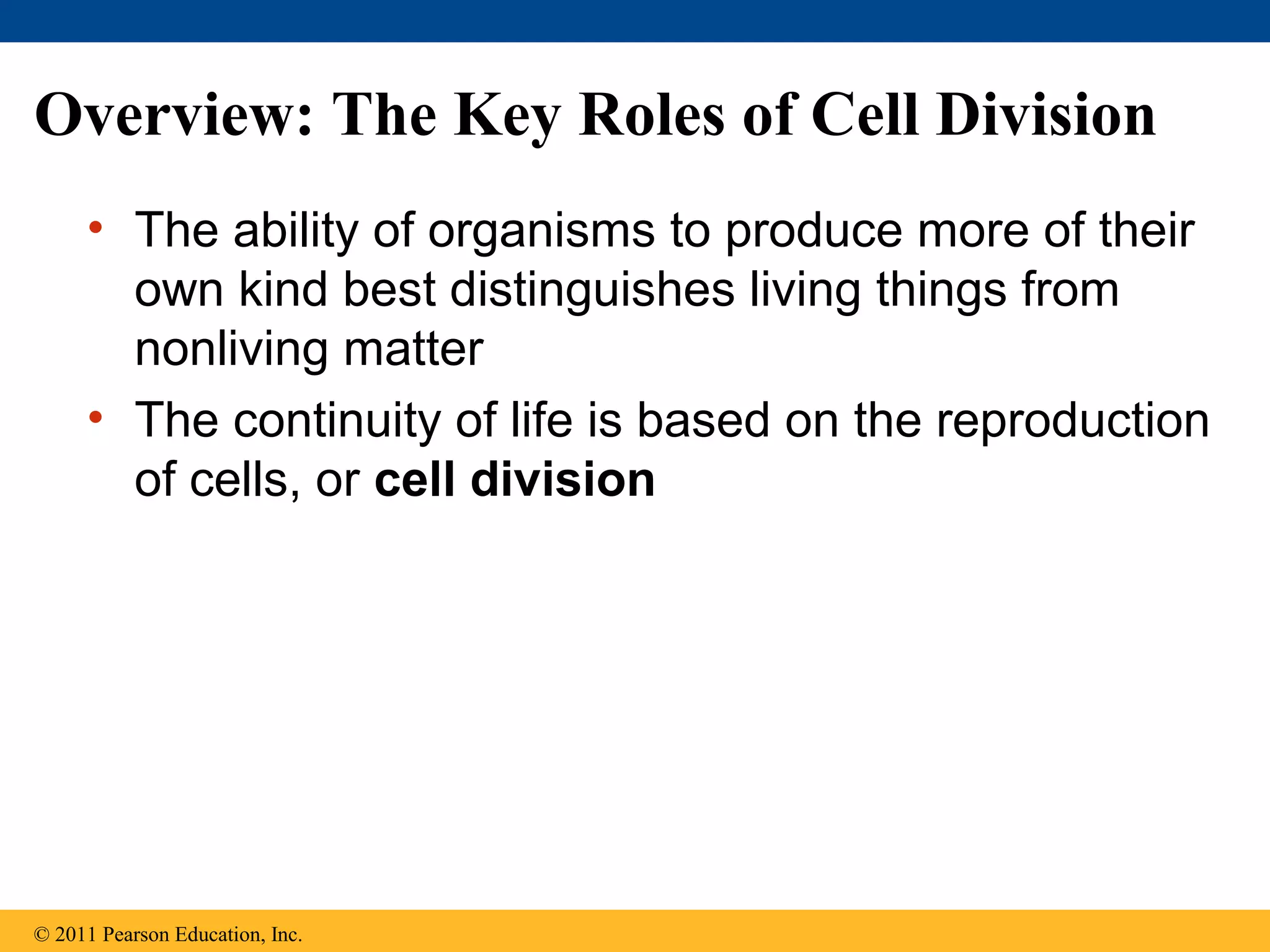 Ch 12: Cell Cycle | PPT
