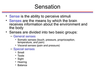 Integration of Nervous System Functions: Seeley's Anatomy and ...
