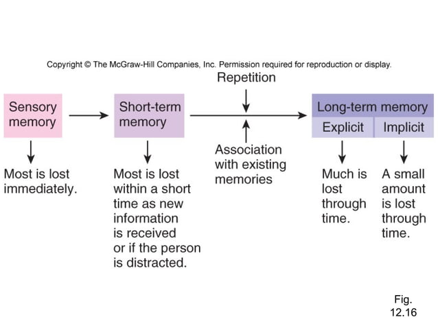 Integration of Nervous System Functions: Seeley's Anatomy and ...