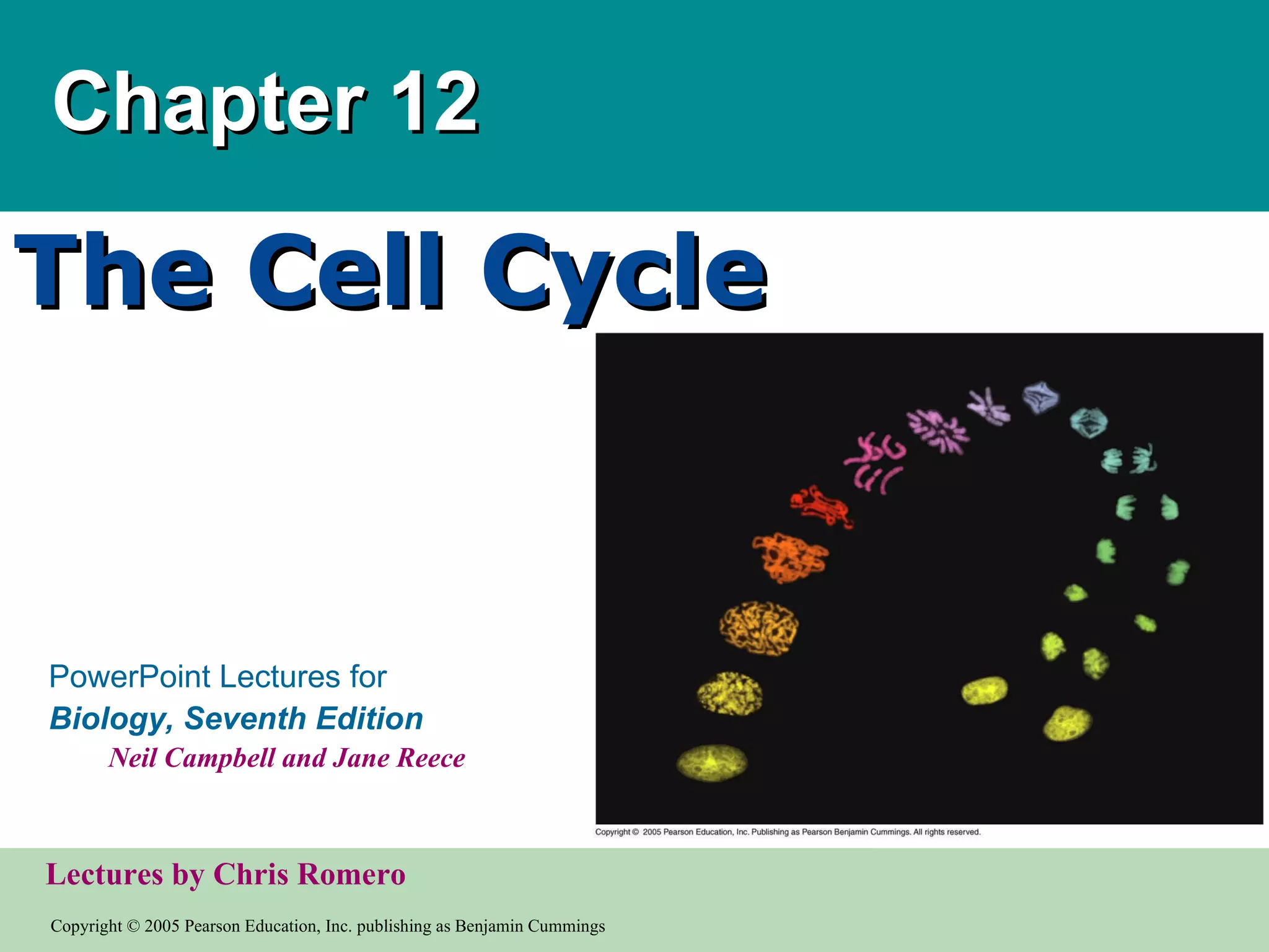 cell cycle | PPT
