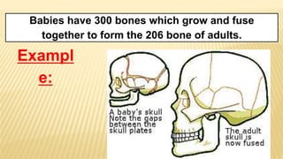 12lesson 5 body systems part1 | PPT