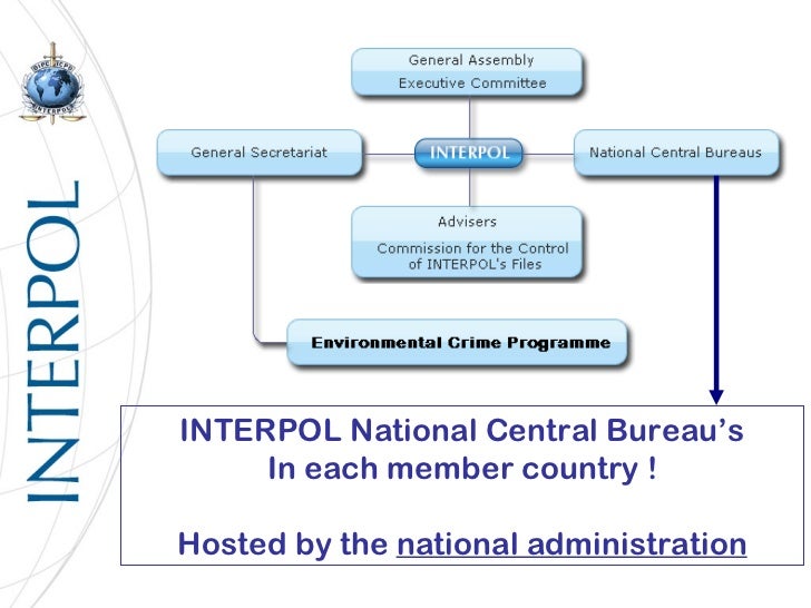 INTERPOL and Environmental Crimes